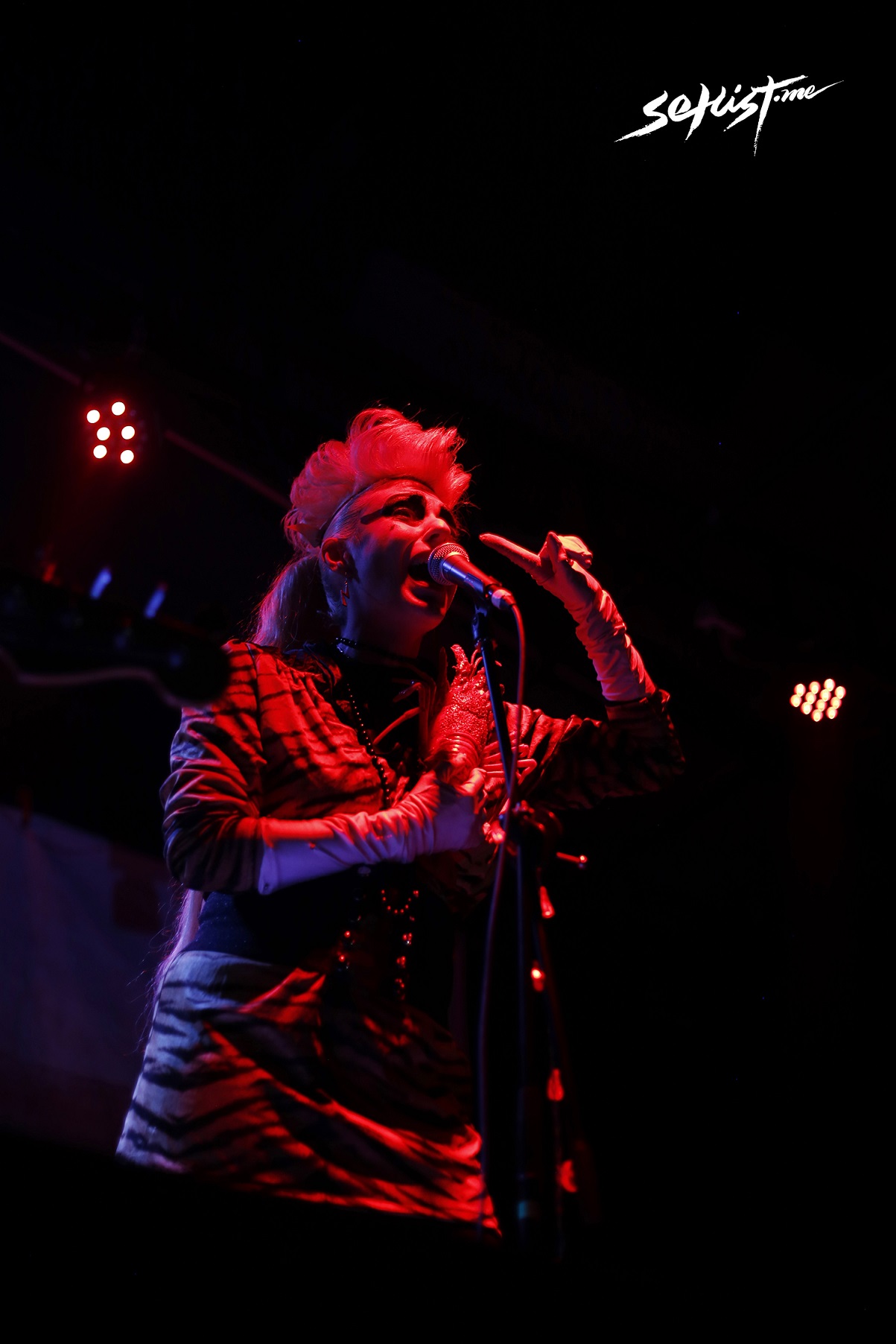 La oscura complicidad de Selofan